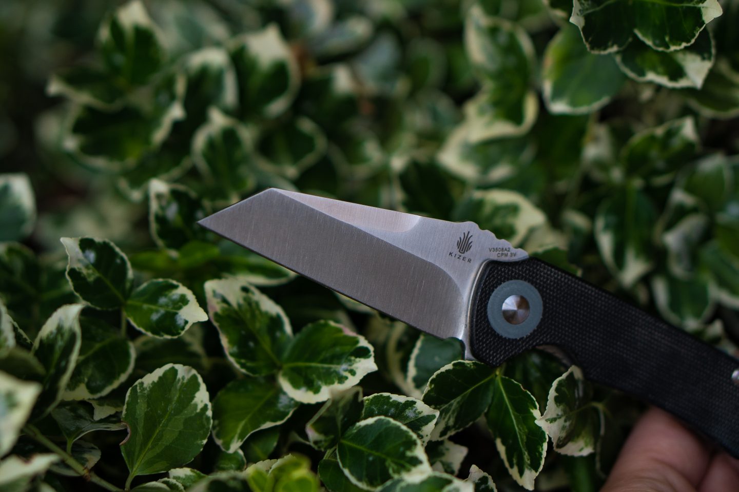 Kizer Critical Mini - Review