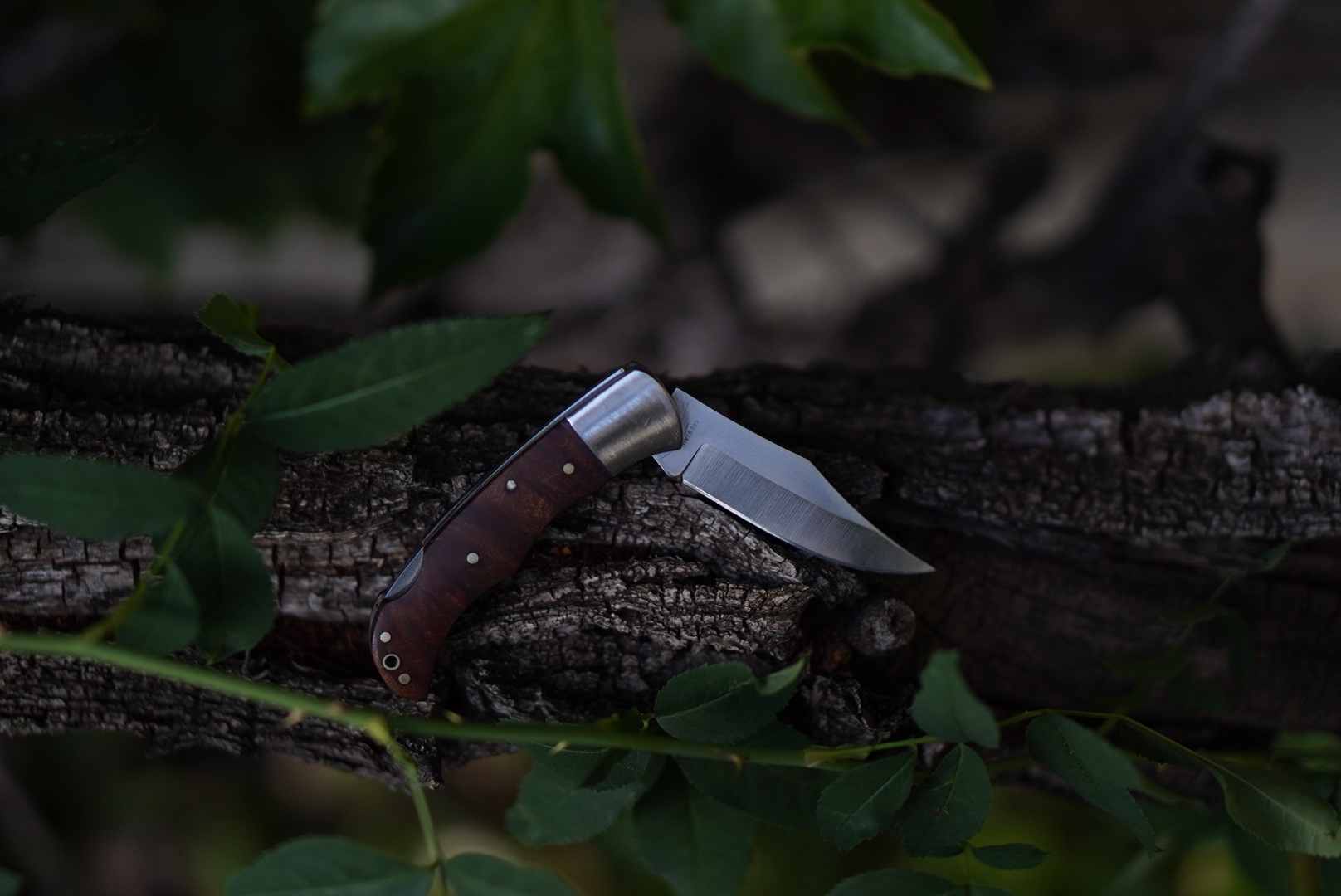 The Evolution of the Knife: A Journey Through Time - SomeKnifeReviews